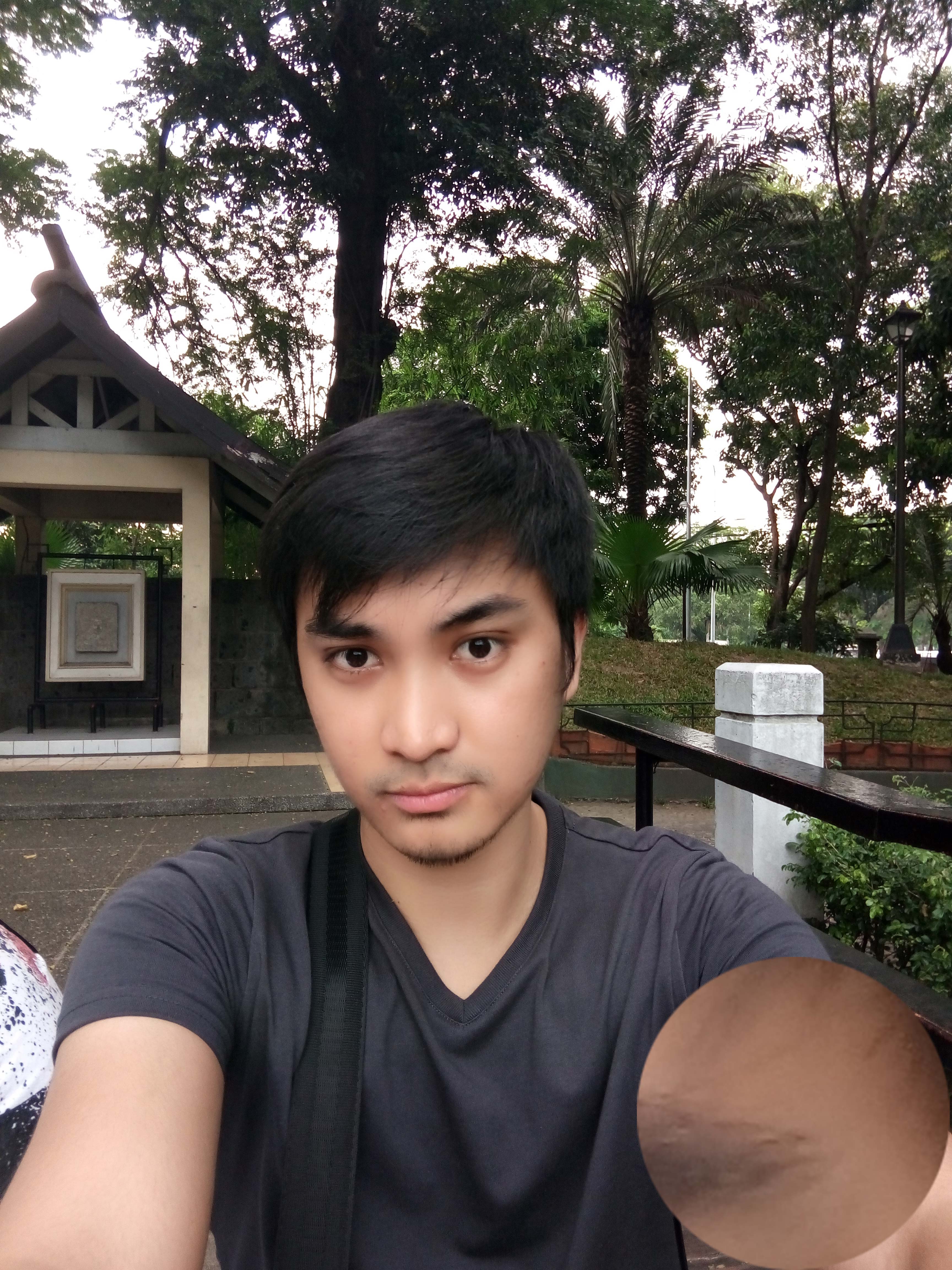 Five Best Selfie Phones Under Php12K – Selfie Snappers of 2015-2016 ...