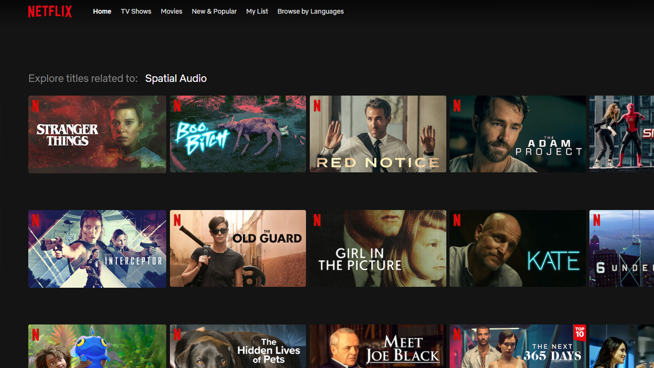 Netflix Spatial Audio: How to use it and find supported titles
