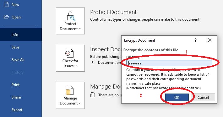 How To Password Protect A Word Document