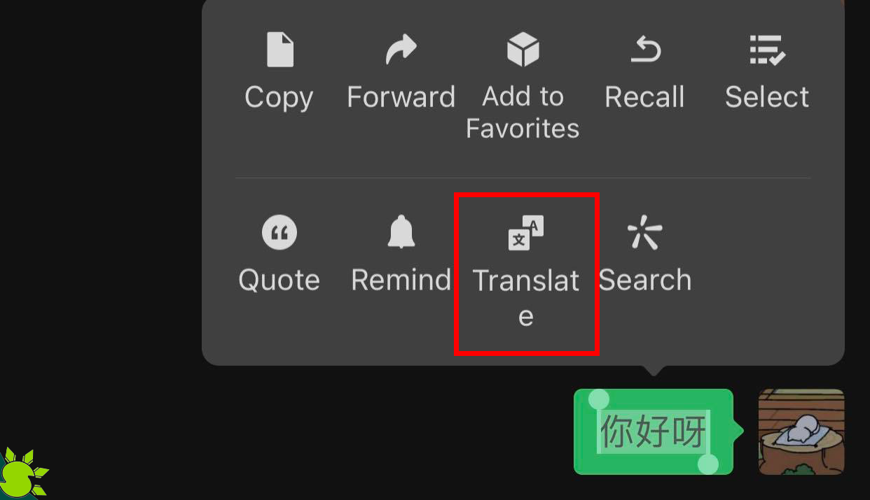 How to Change WeChat Language